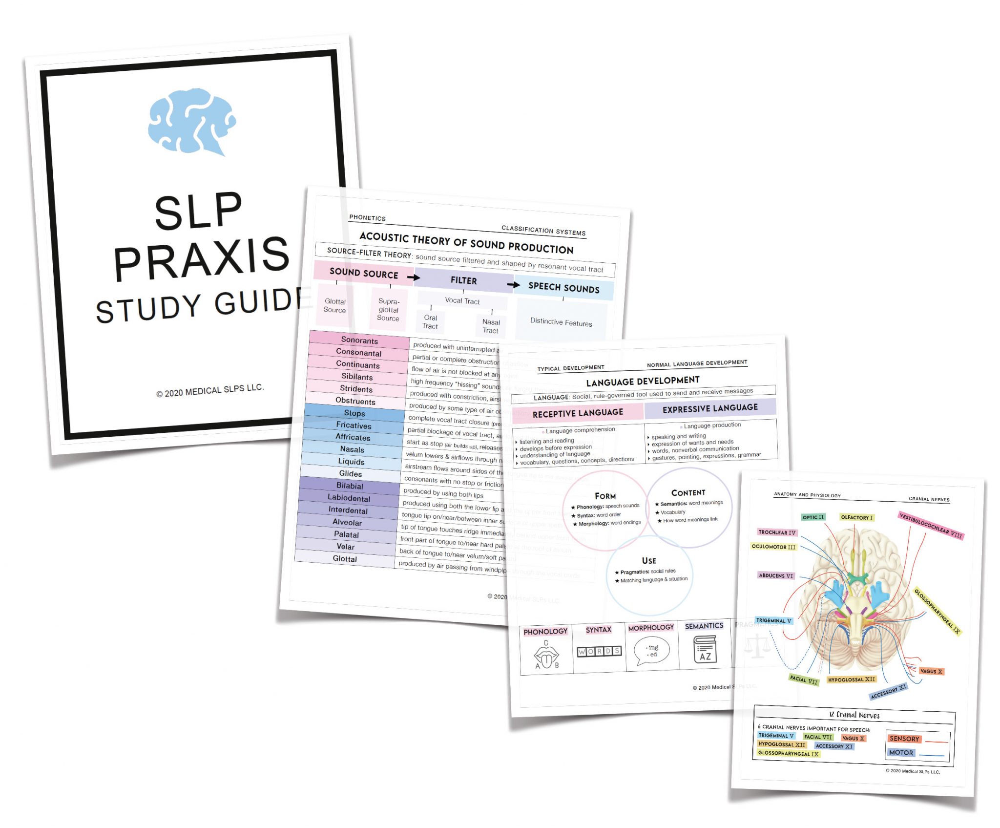 SLP Praxis Study Guide - Medical SLPs
