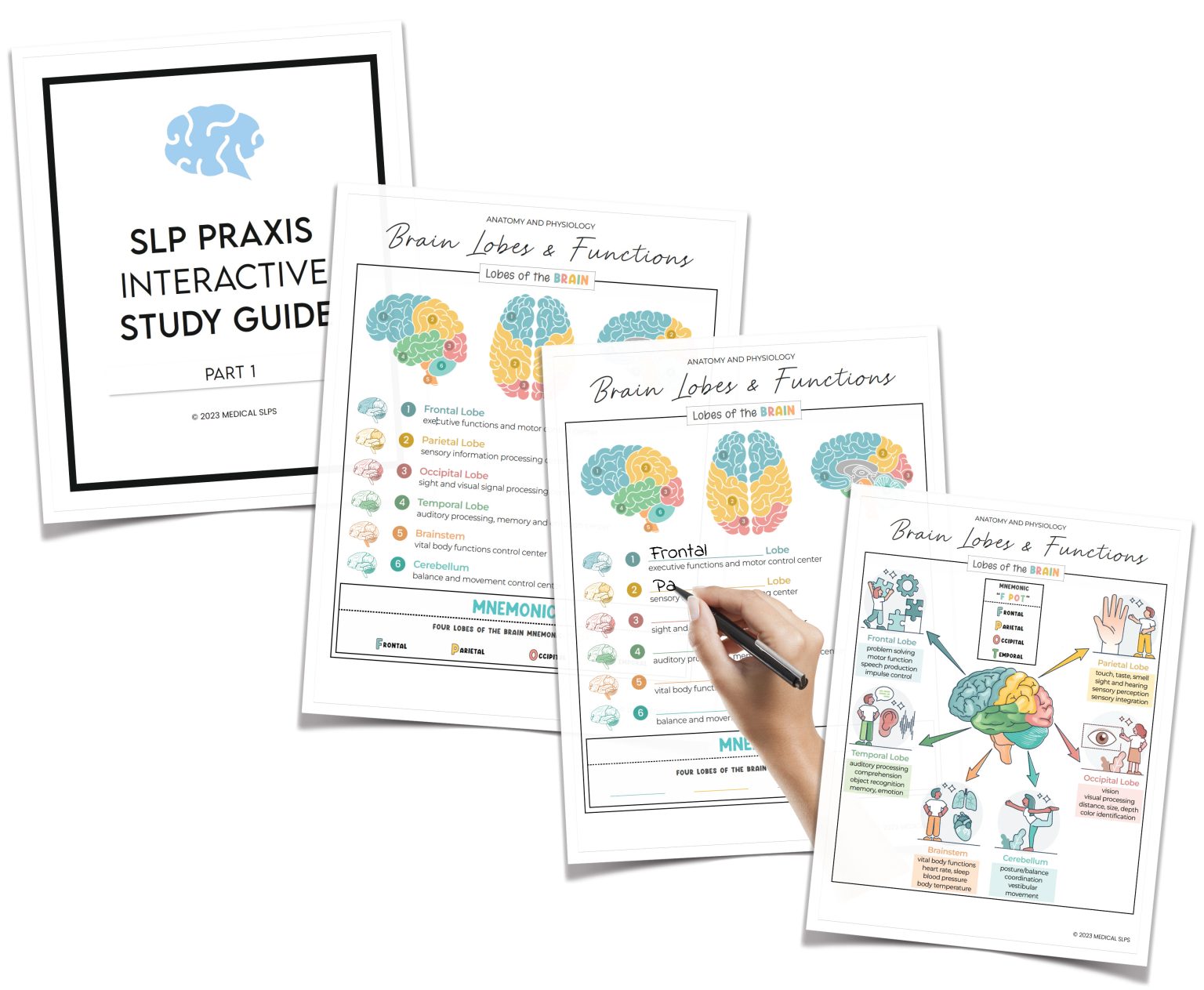 PDF Speech Therapy Materials - Medical SLPs